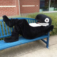 Story Time With Heather Pasley – non fiction